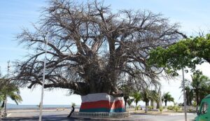 Majunga – Roches Rouges Mahajunga Madagascar