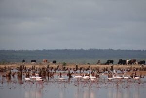 Majunga – Roches Rouges Mahajunga Madagascar